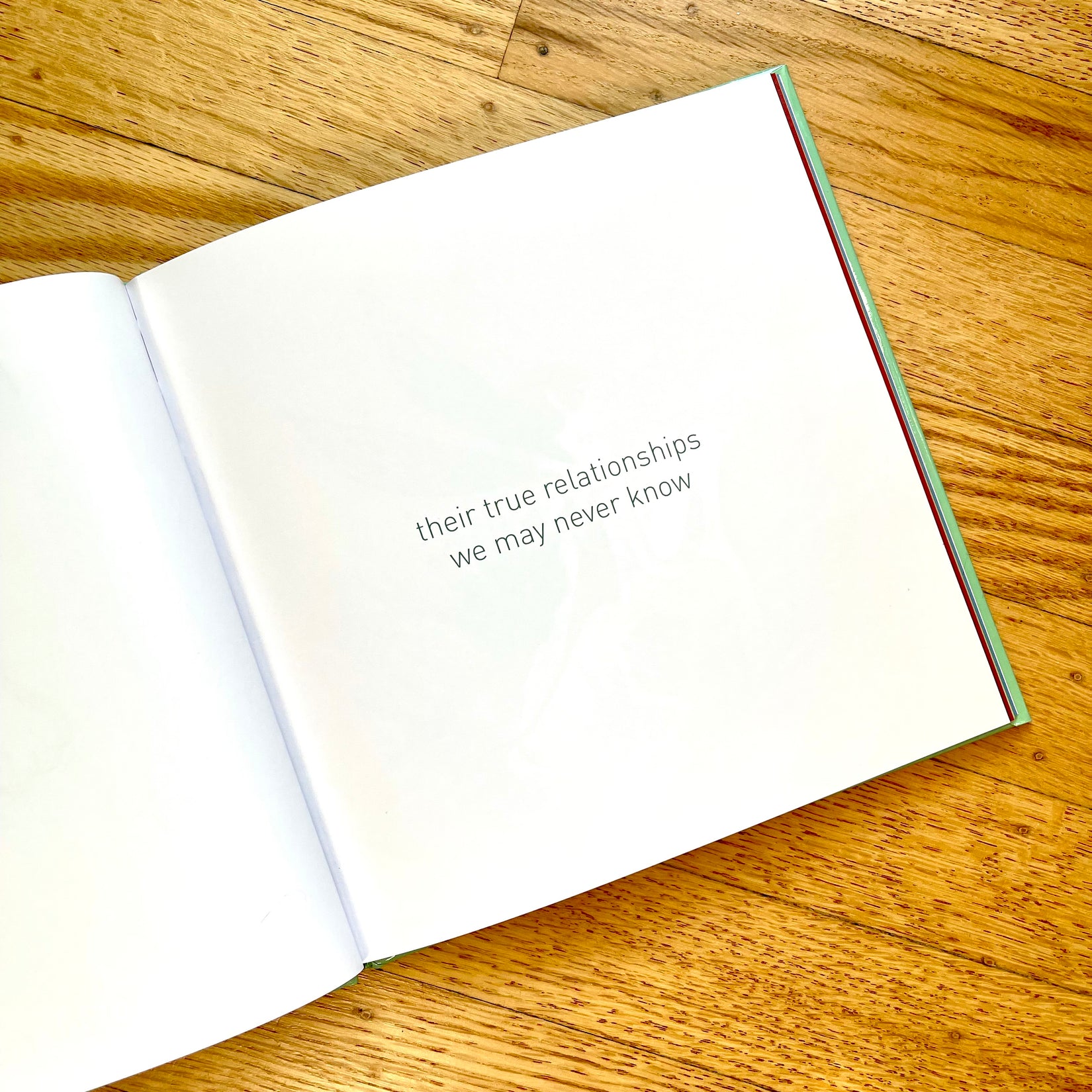 Fairy Friends Book – Yoshi Yoshitani